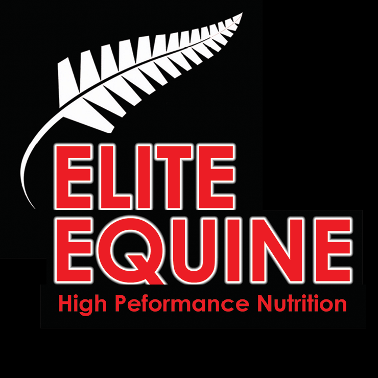 Elite Equine | Summit Grains & Saddlery – Summit Grains and Saddlery