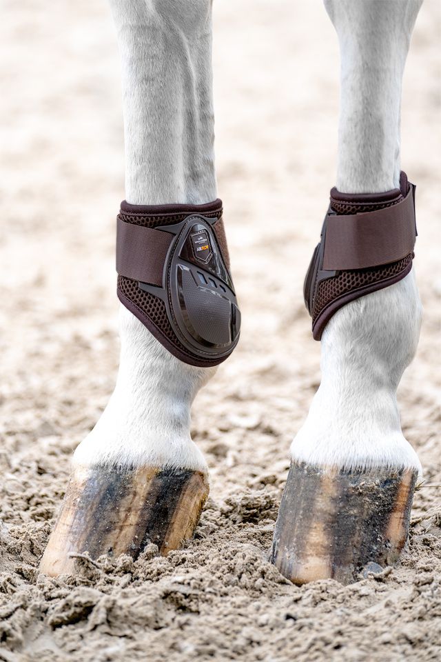 Schockemohle Air Flow Champion Fetlock Boot – Summit Grains and Saddlery