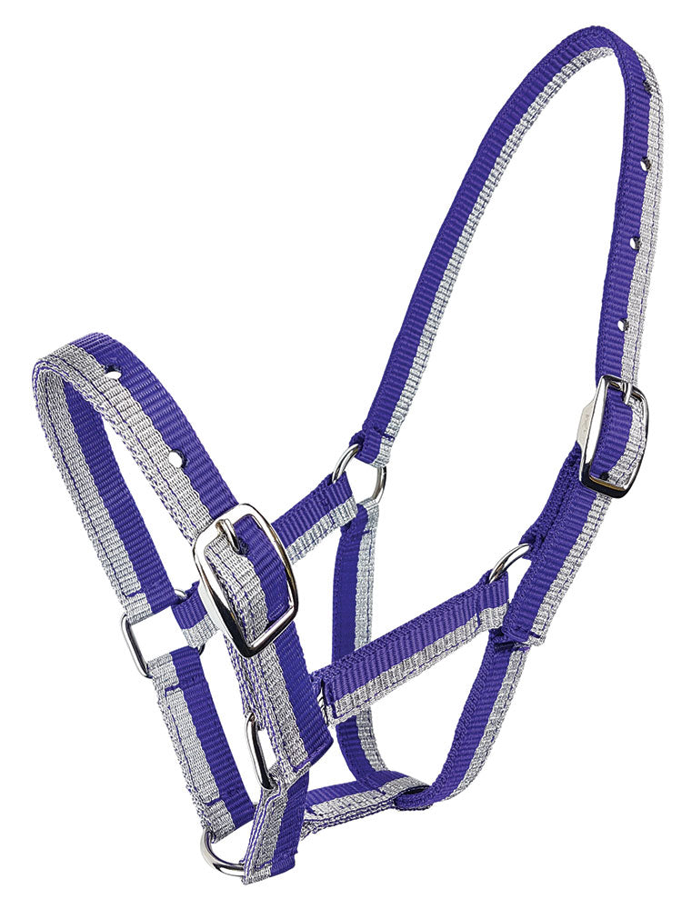 Zilco Sparkle Foal Halter – Summit Grains and Saddlery